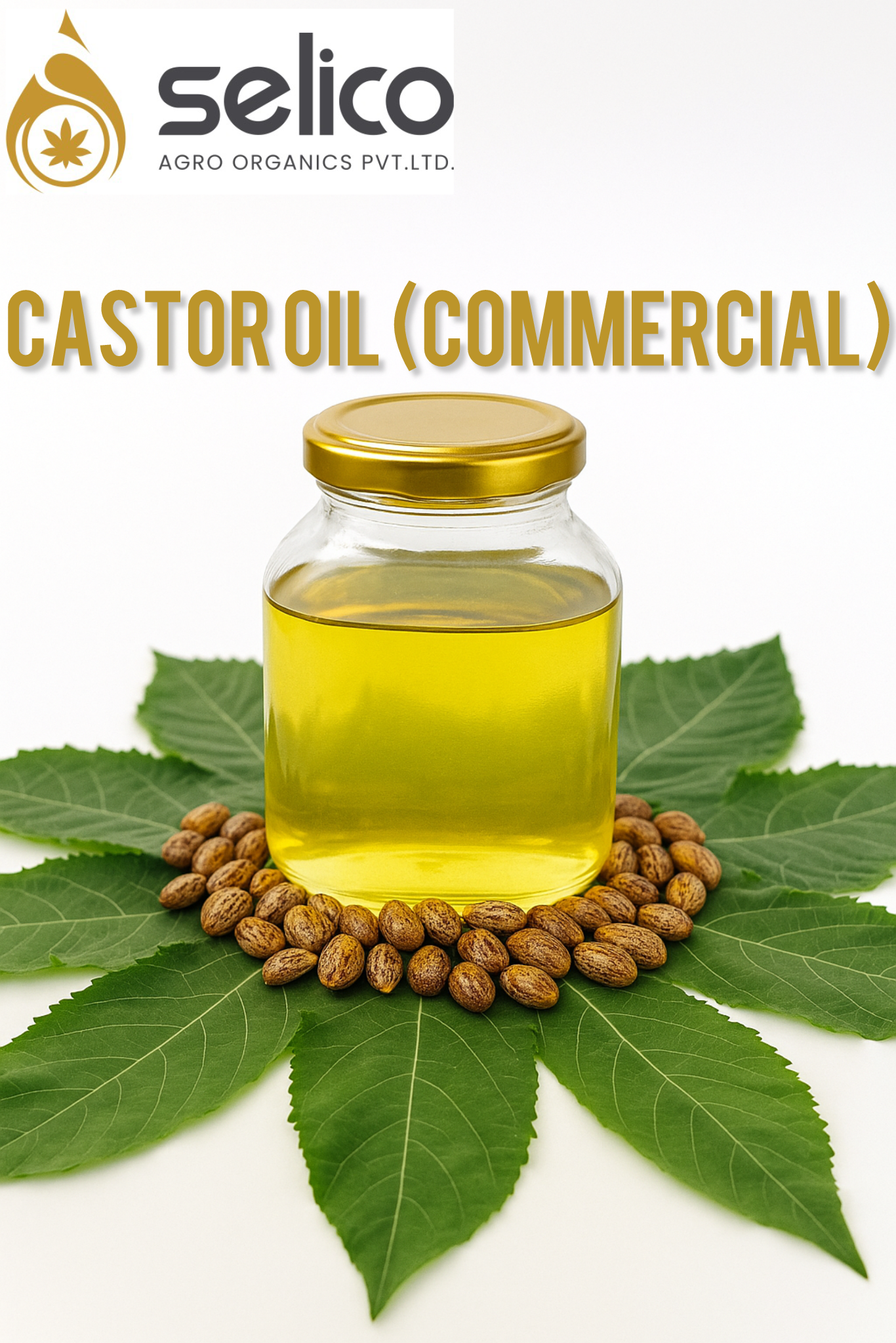 Selico Agro Organics - Premium Castor Oil Manufacturers